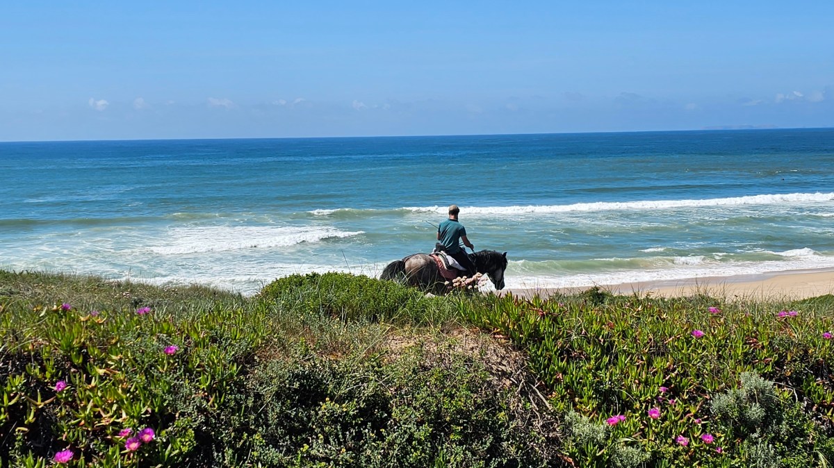 Writing Life in Portugal – The Hot Goddess